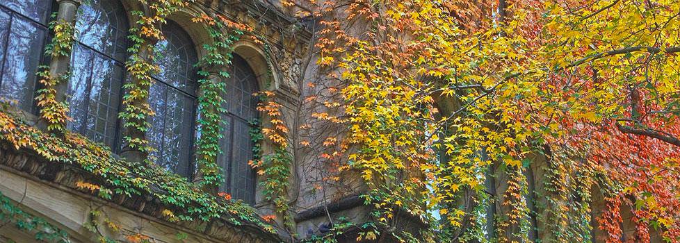 Welcome | Summer Undergraduate Math Research at Yale